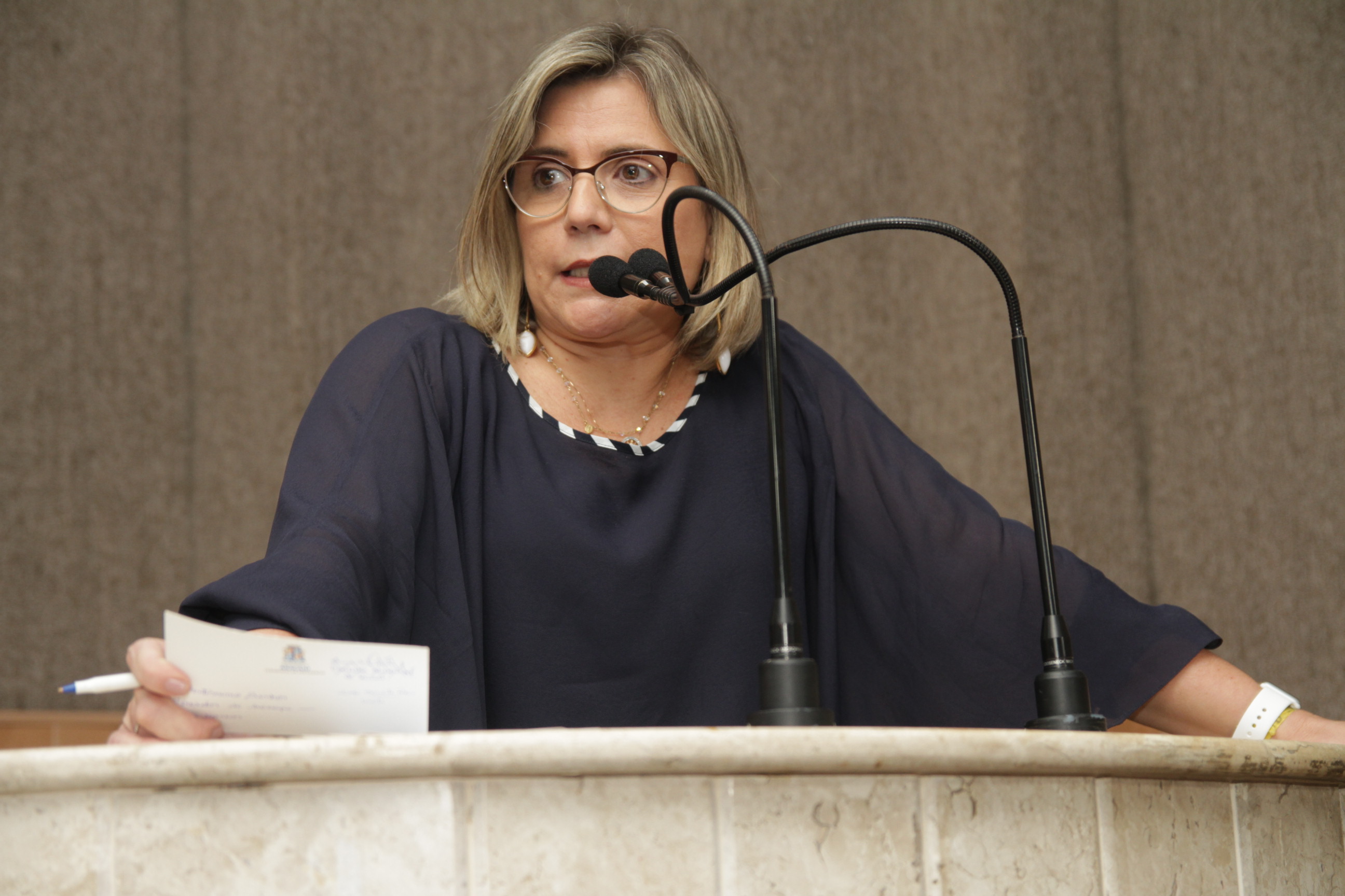 Sílvia participa de Audiência Pública na CMA - Assembleia Legislativa ...